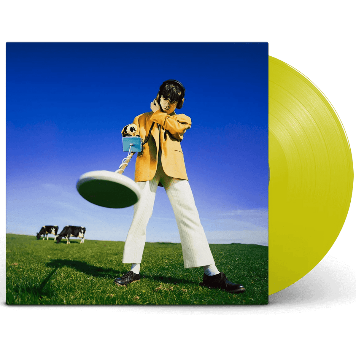 What Happened to the Beach? - Declan McKenna [COLOUR VINYL] BUNDLE SOL ...